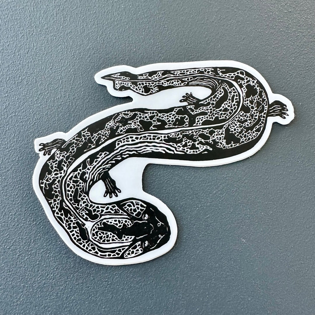 Eastern Hellbender Sticker | Vinyl Decal | Water-proof Sticker | 3″ × 2 ...