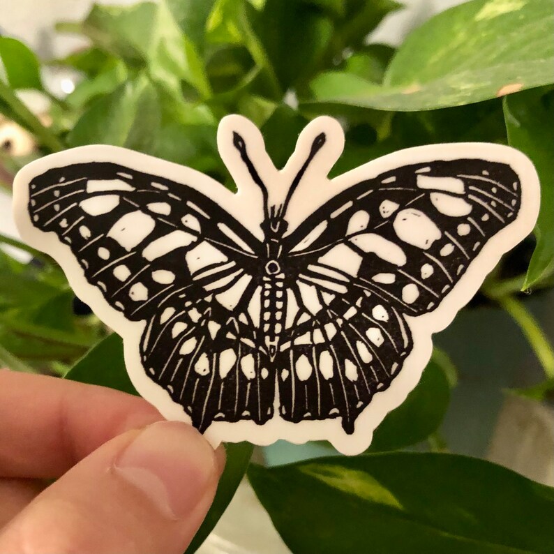 Malachite Butterfly Sticker | Vinyl Decal | Water-proof Sticker ...