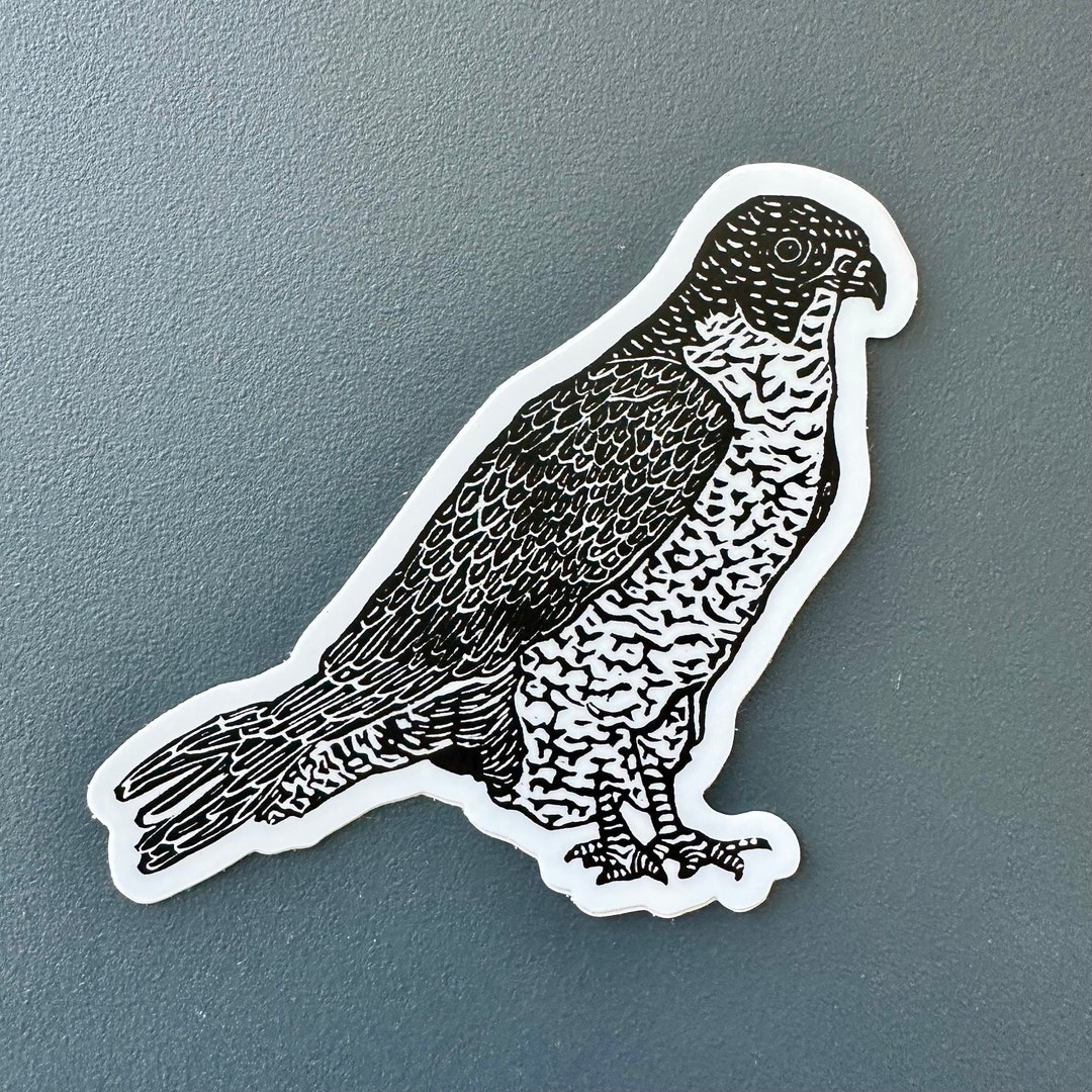 Peregrine Falcon Sticker Vinyl Decal Water-proof Sticker 3 X 2.78 - Etsy