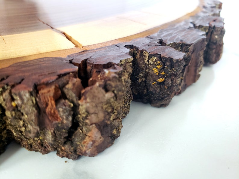 Large Black Walnut / Large Tree Slice / Cake Stand / Charcuterie ...