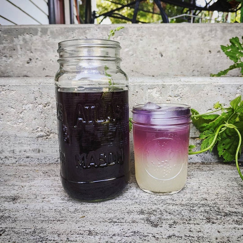 Butterfly Pea Flower Tea Color Changing Tea Blue Tea | Etsy