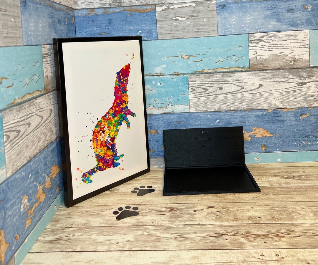 Cage Sidewall Shield Mess Containment - Etsy