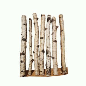 White Birch Sticks Small White Birch Logcraft - Etsy