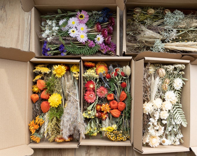 Dried Flower Mix Craft Boxes, Dried Grasses Crafting, Preserved ...