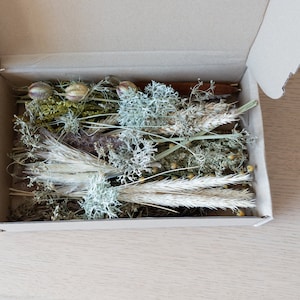 Dried Flower Mix Craft Boxes, Dried Grasses Crafting, Preserved ...