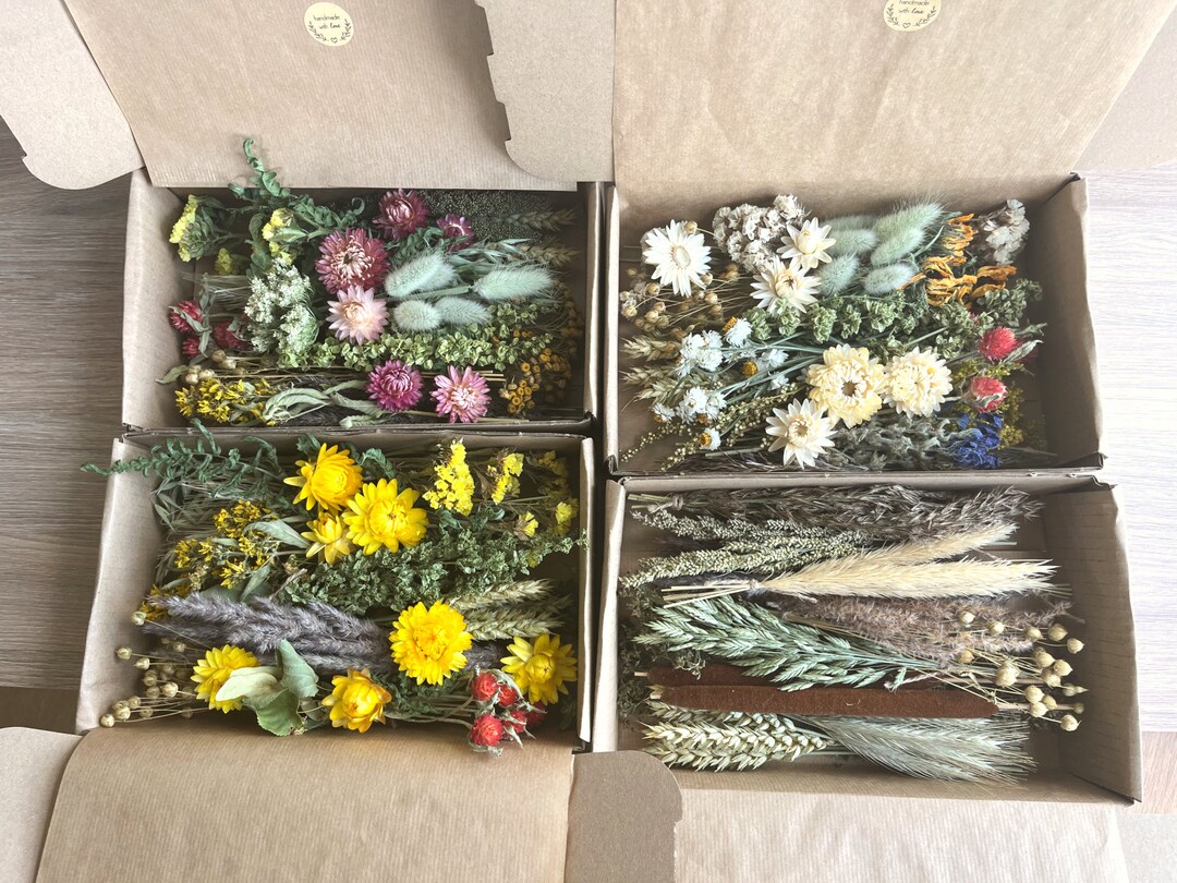 Cottage Organic Dried Flowers Craft Box, Dry Flower Letterbox, Posy ...
