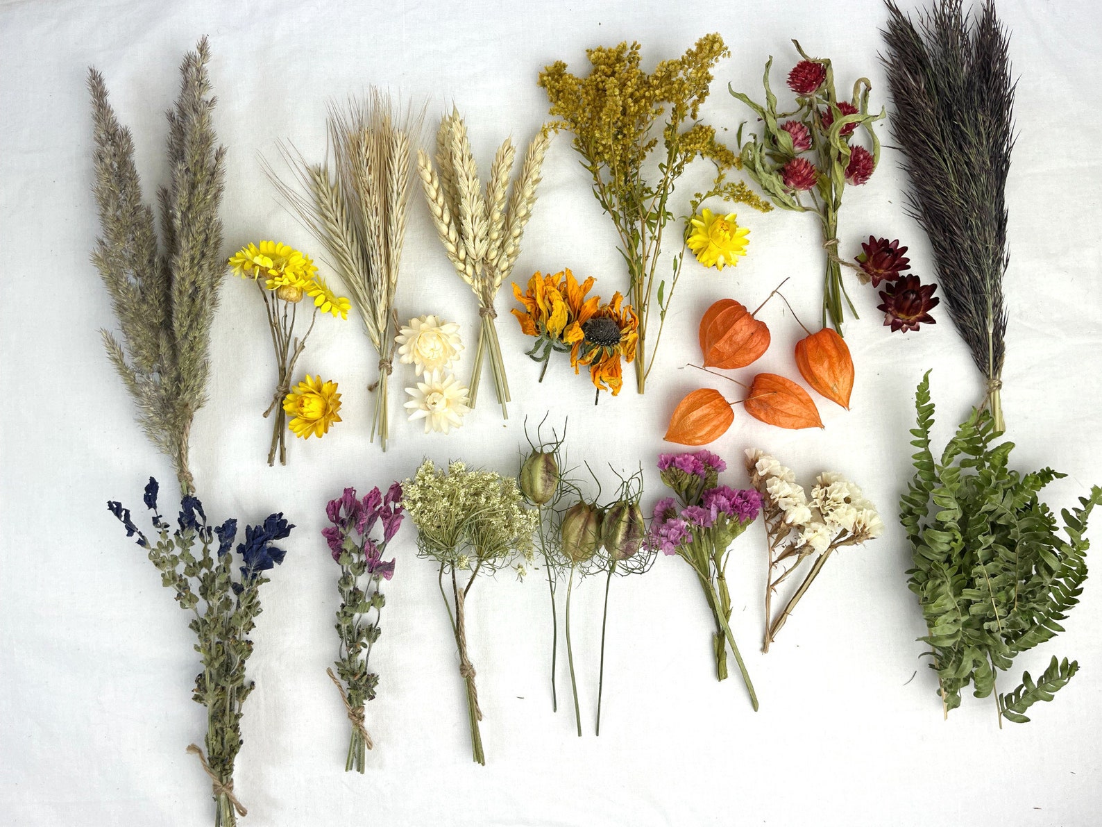 Dried Flower Craft Box, Dry Grasses and Flowers Box, Preserved Natural ...