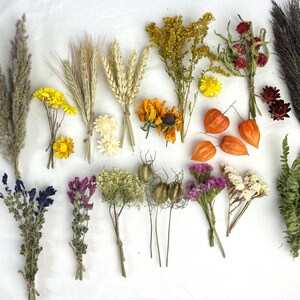 Dried Flower Craft Box, Dry Grasses and Flowers Box, Preserved Natural ...