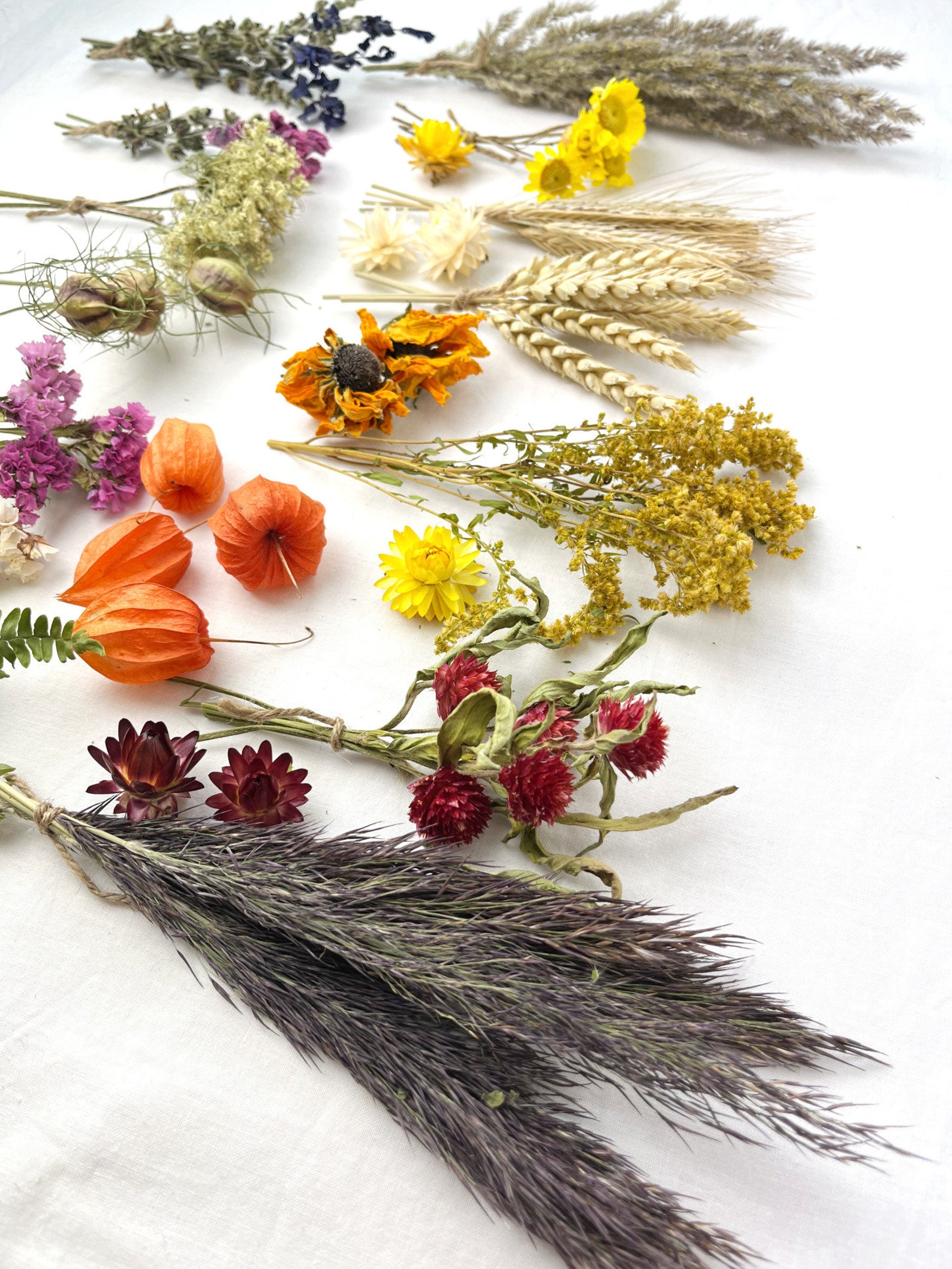 Dried Flower Craft Box, Dry Grasses and Flowers Box, Preserved Natural ...