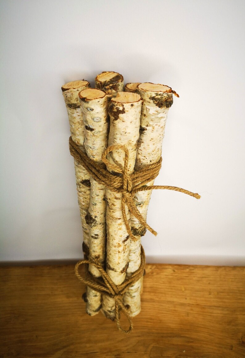 White Birch Sticks Small White Birch Logcraft - Etsy