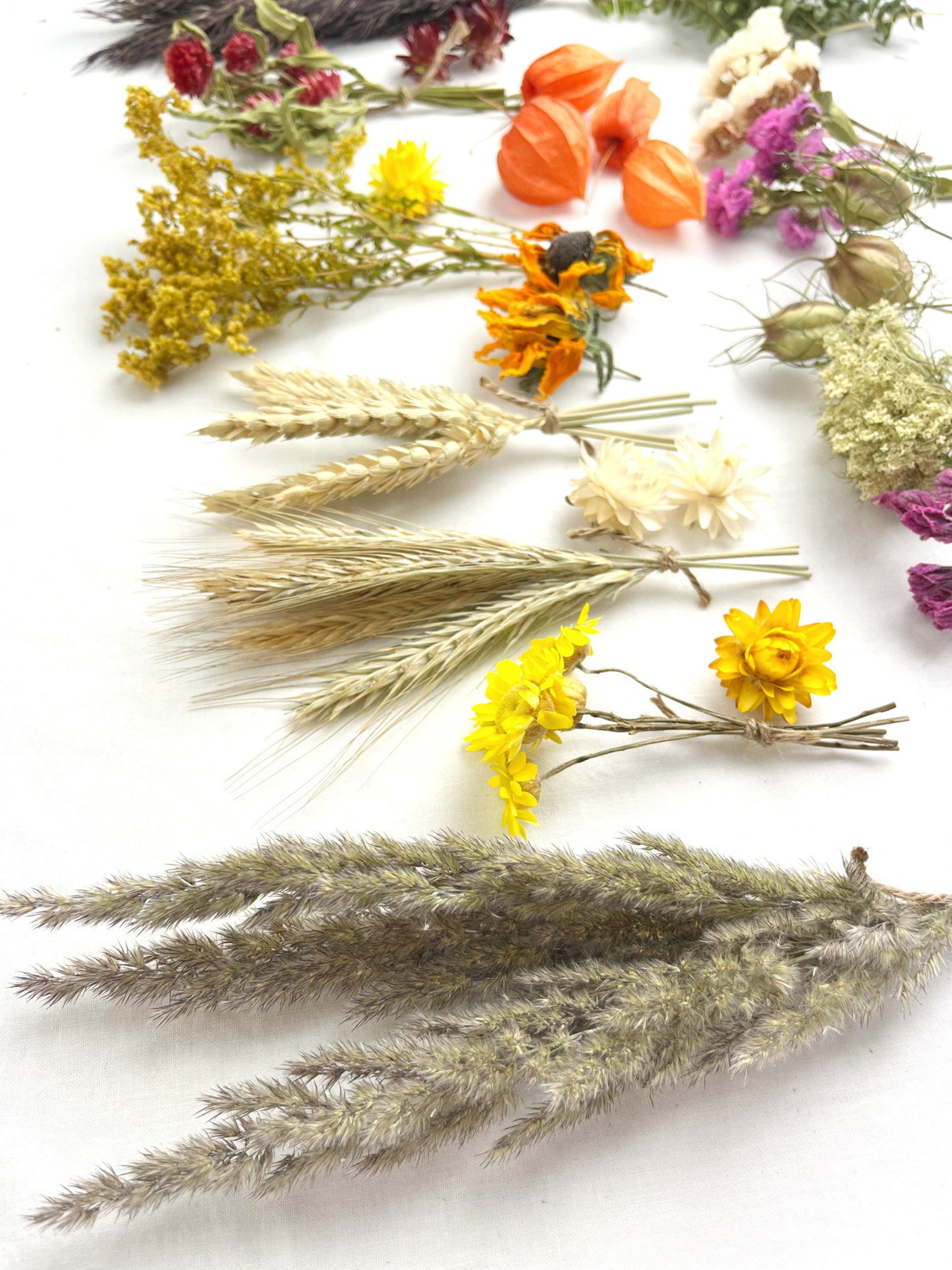 Dried Flower Craft Box, Dry Grasses and Flowers Box, Preserved Natural ...