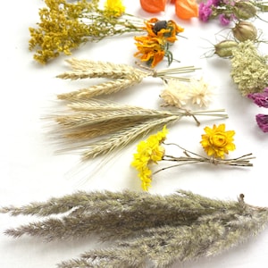 Dried Flower Craft Box, Dry Grasses and Flowers Box, Preserved Natural ...