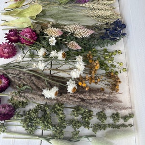 Natural Dried Flowers Mix Craft Boxes, Preserved Dry Botanical Supplies ...
