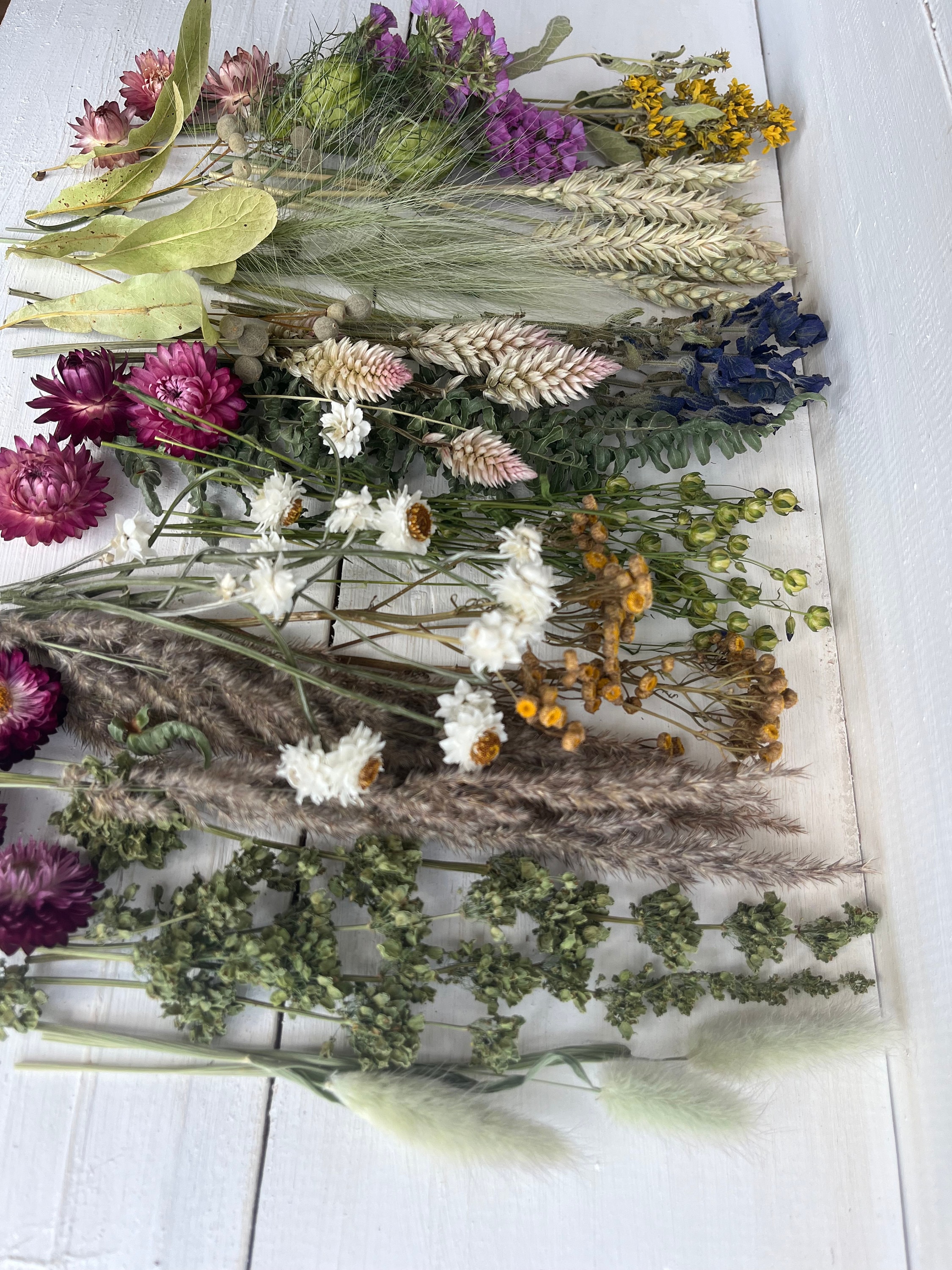 Natural Dried Flowers Mix Craft Boxes, Preserved Dry Botanical Supplies ...