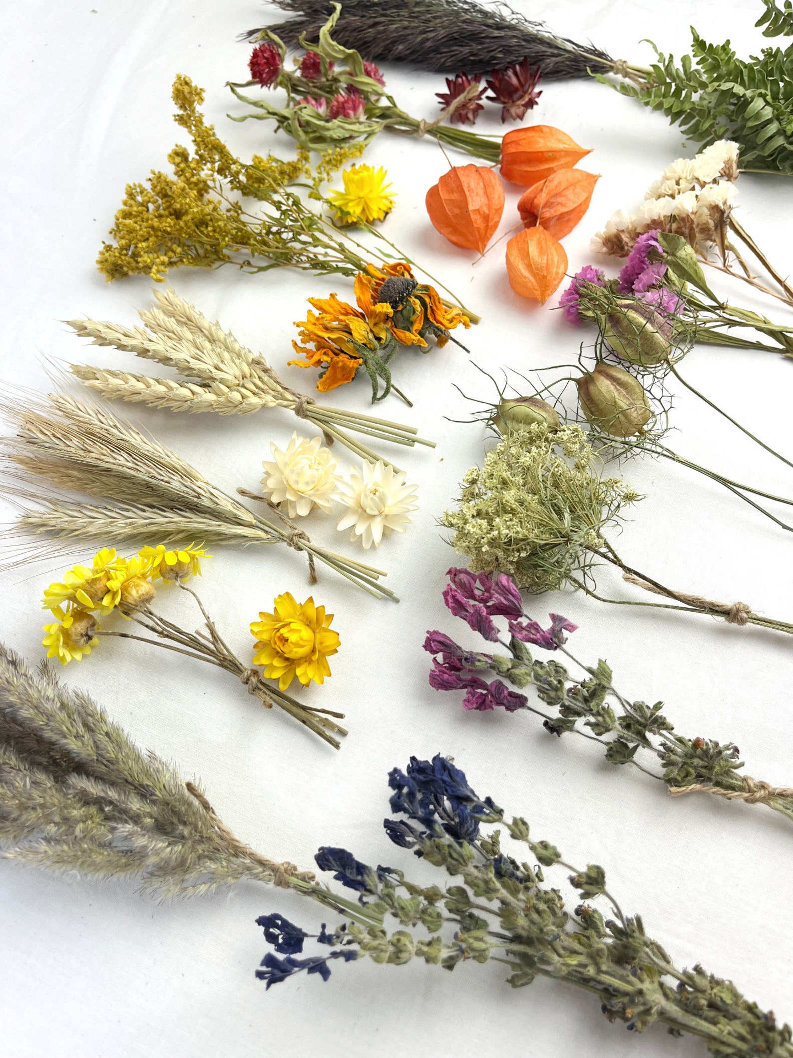 Dried Flower Craft Box, Dry Grasses and Flowers Box, Preserved Natural ...