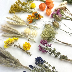 Dried Flower Craft Box, Dry Grasses and Flowers Box, Preserved Natural ...