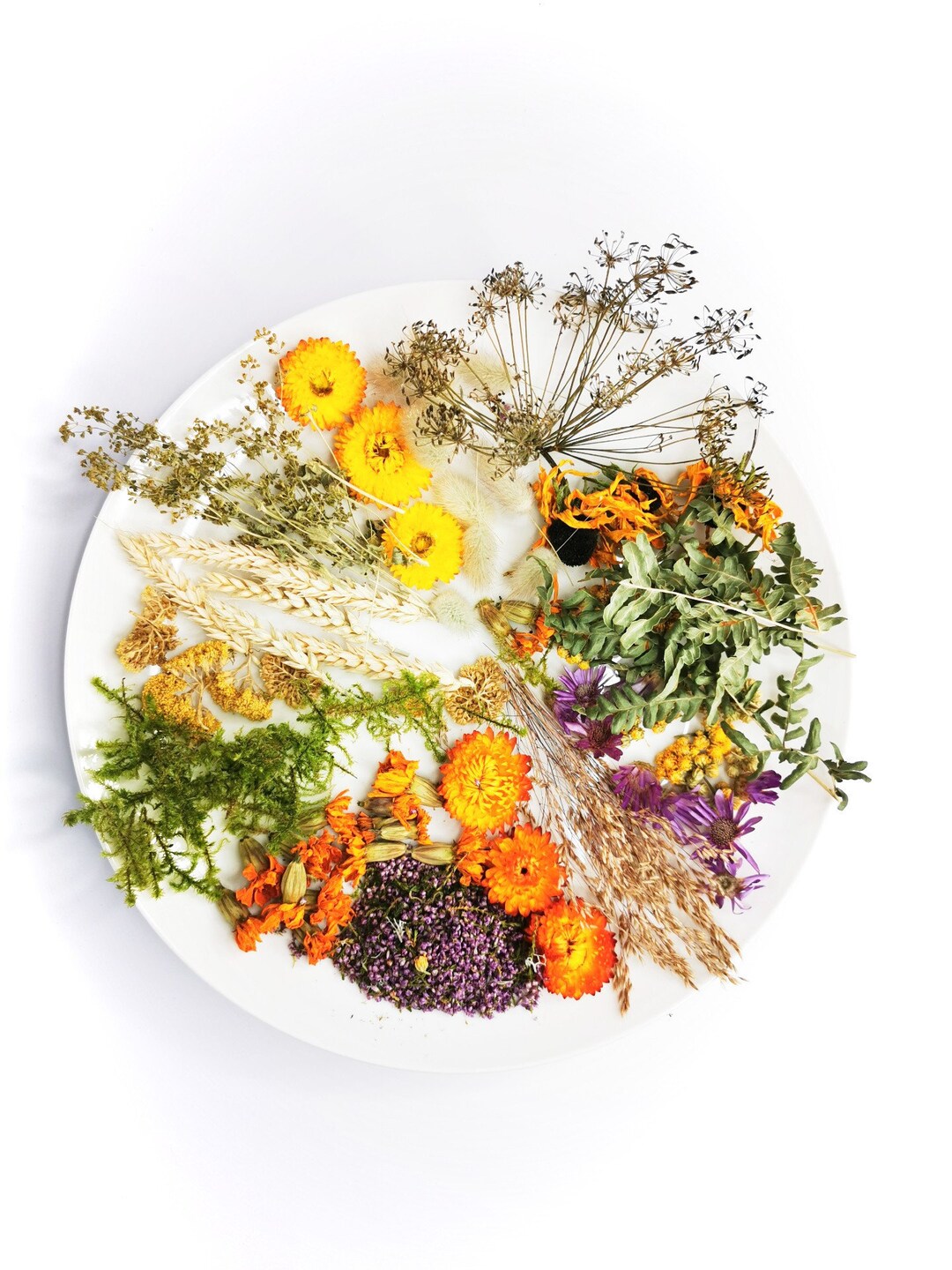 Botanical Flower Craft Pack for Jewelry, Soap, Candle Making , Craft ...