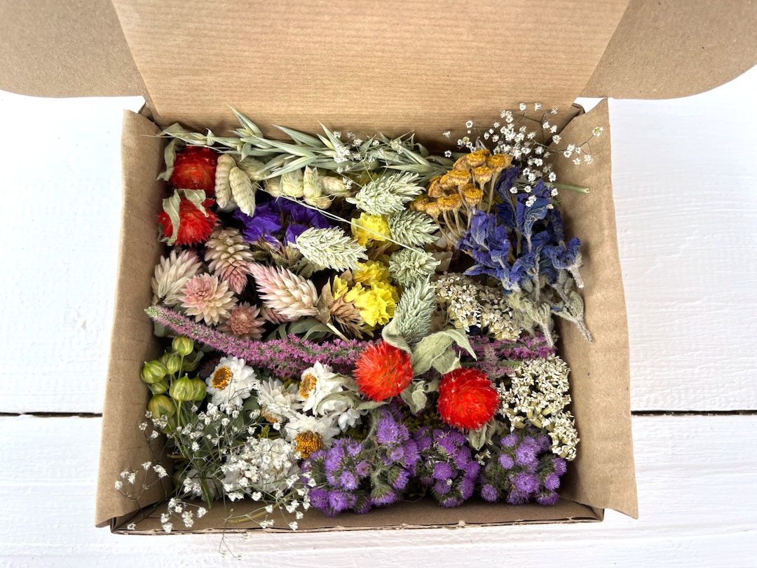 Dried Flower Box, Resin Epoxy Supplies, Candle Making, Soap Dry ...