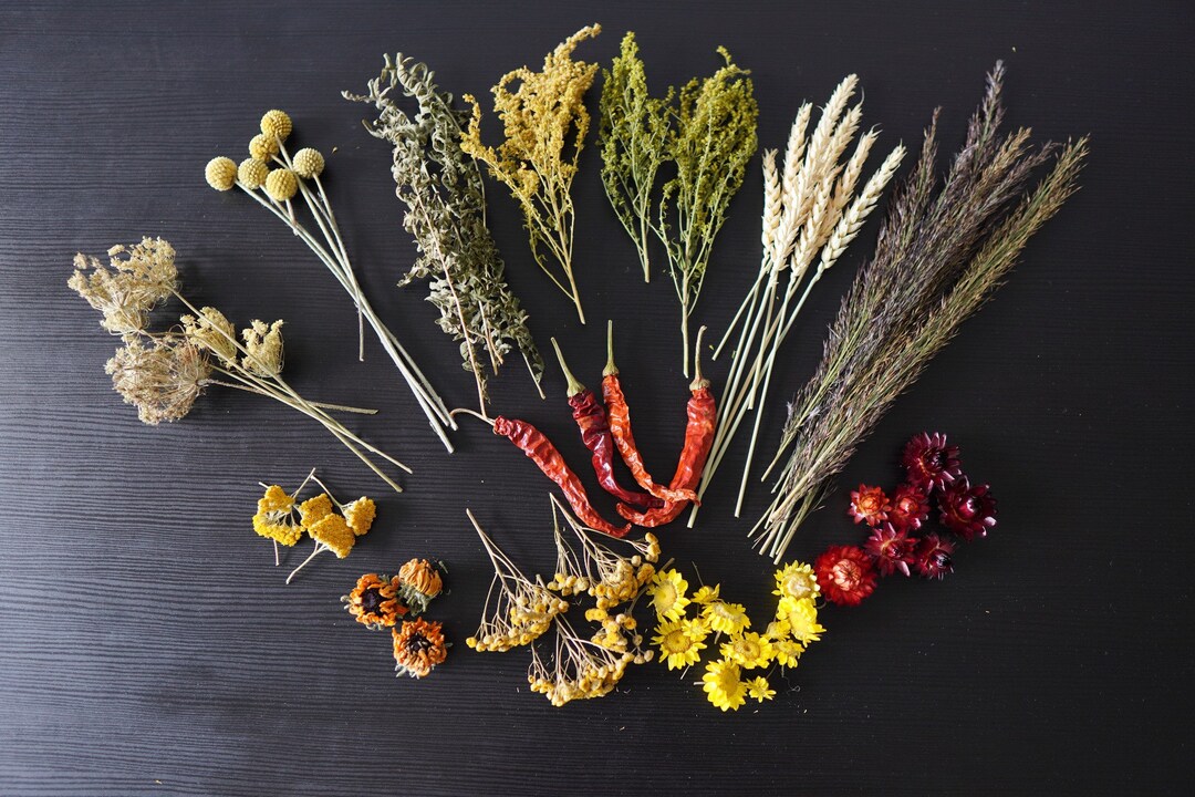 Assorted Organic Dried Flower, Grass Craft Pack DIY Crafting Pack ...