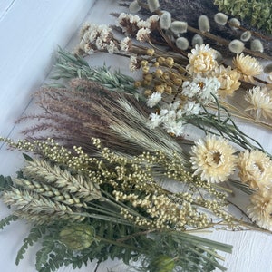 Natural Dried Flowers Mix Craft Boxes, Preserved Dry Botanical Supplies ...
