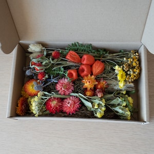 Dried Flower Mix Craft Boxes, Dried Grasses Crafting, Preserved ...
