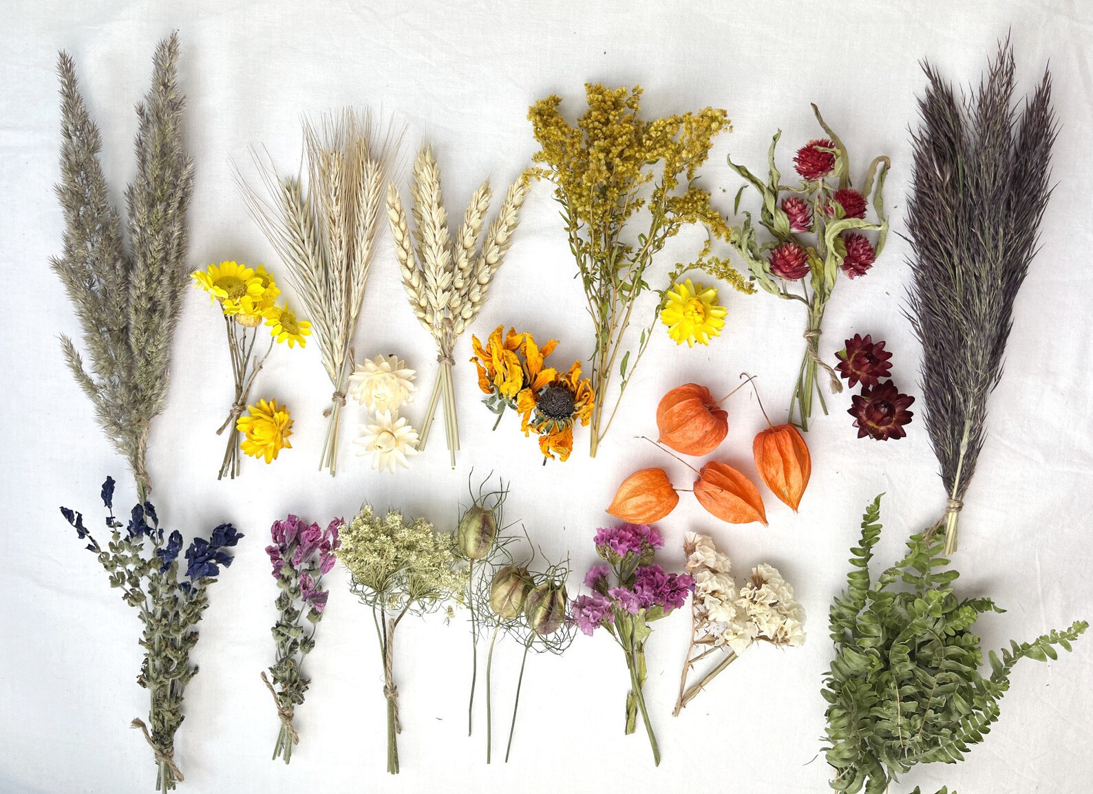 Dried Flower Craft Box, Dry Grasses and Flowers Box, Preserved Natural ...