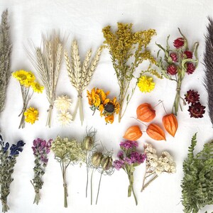 Dried Flower Craft Box, Dry Grasses and Flowers Box, Preserved Natural ...