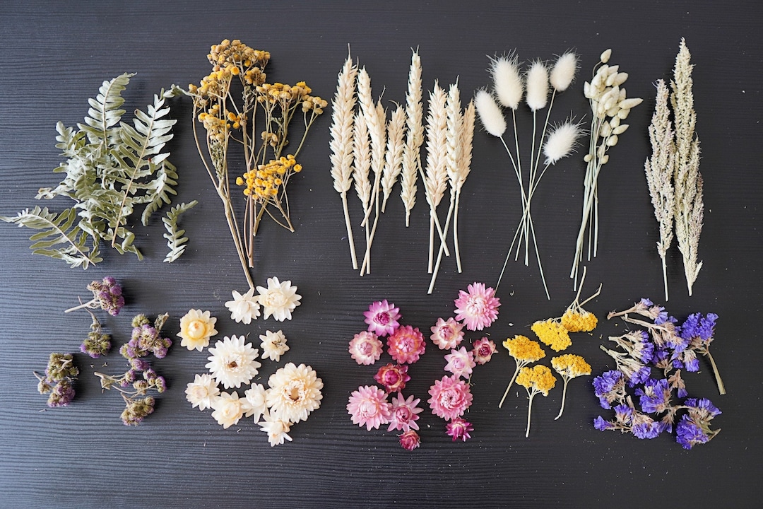 Organic Dried Floral Craft Pack, Dried Plants, Grass, Flower Stems, DIY ...