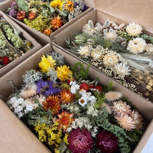 Dried Flower Mix Crafting Boxes, Preserved DIY Mini Posies, Gift ...