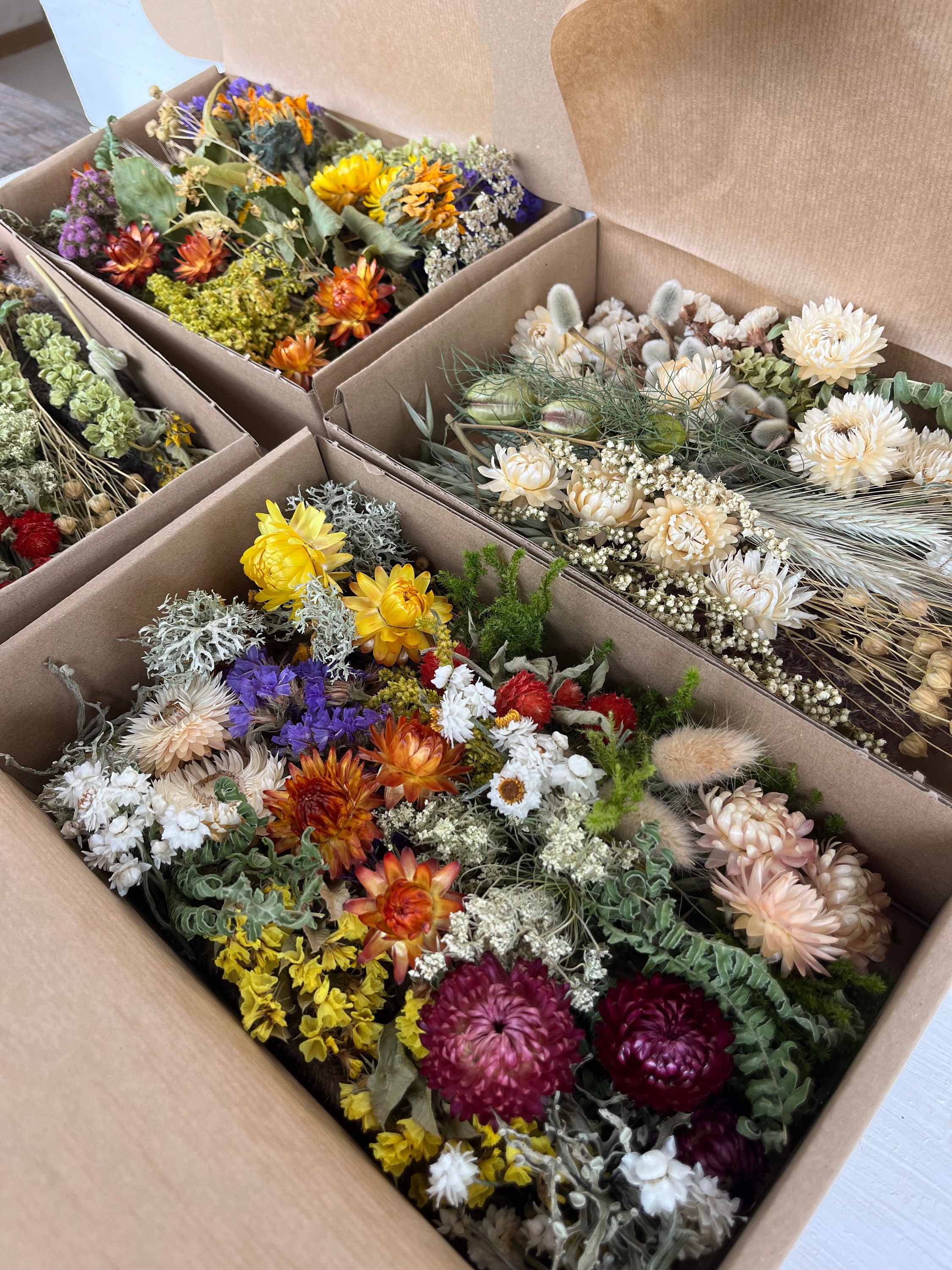 Dried Flower Mix Crafting Boxes, Preserved DIY Mini Posies, Gift ...