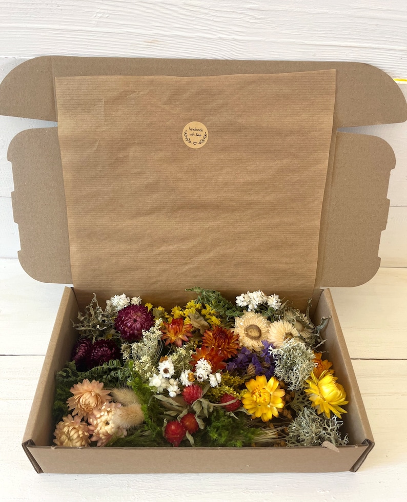Natural Dried Flowers Mix Craft Boxes, Preserved Dry Botanical Supplies ...
