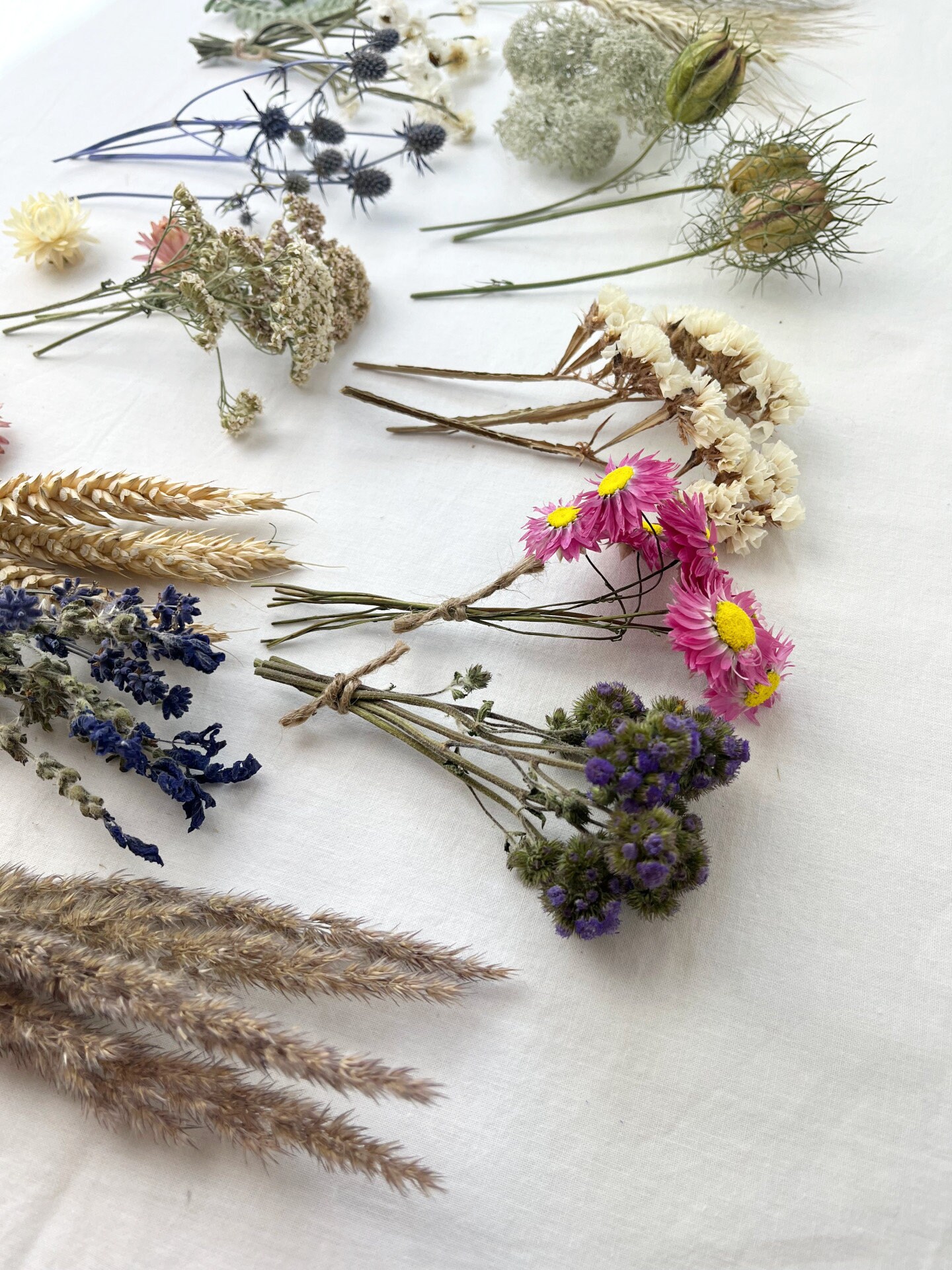 Dry Flower Craft Box, Dried Grasses and Flowers Box, Preserved Organic ...