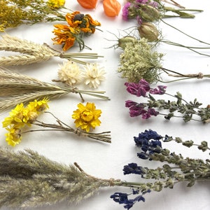 Dried Flower Craft Box, Dry Grasses and Flowers Box, Preserved Natural ...