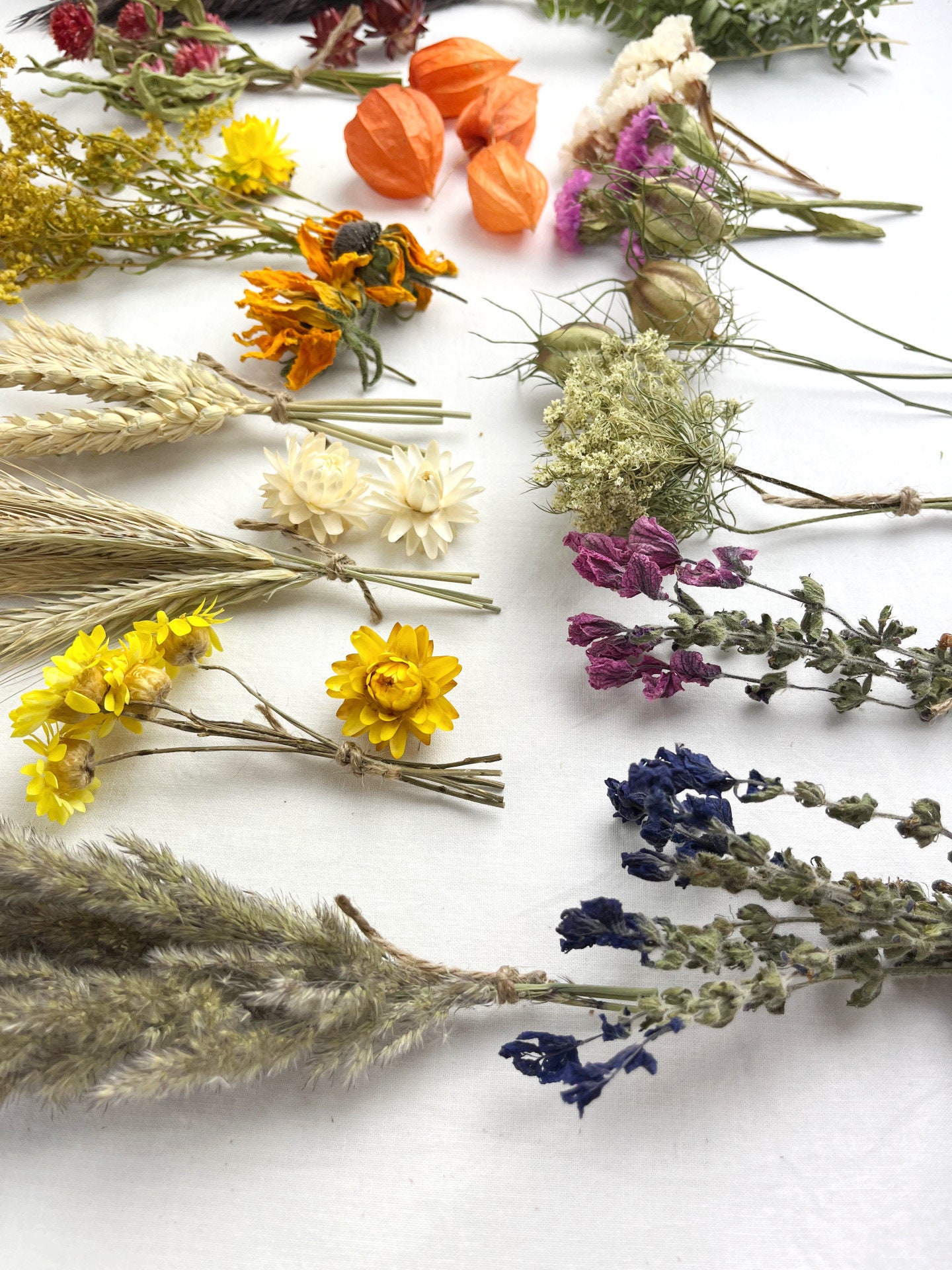 Dried Flower Craft Box, Dry Grasses and Flowers Box, Preserved Natural ...