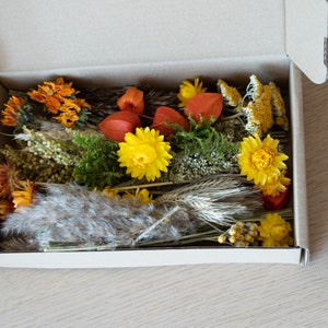 Dried Flower Mix Craft Boxes, Dried Grasses Crafting, Preserved ...