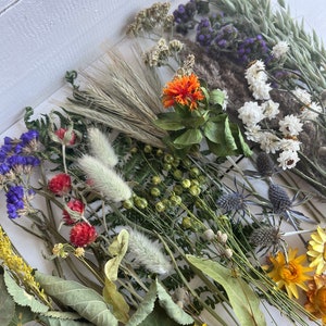 Natural Dried Flowers Mix Craft Boxes, Preserved Dry Botanical Supplies ...