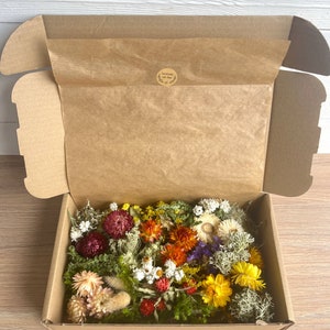 Dried Flower Supplies Mix Craft Box, Organic Preserved Wildflowers, DIY ...