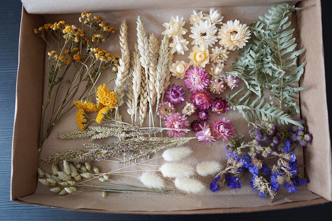 Organic Dried Floral Craft Pack, Dried Plants, Grass, Flower Stems, DIY ...
