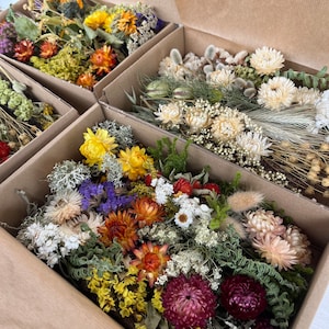 Dried Flower Supplies Mix Craft Box, Organic Preserved Wildflowers, DIY ...