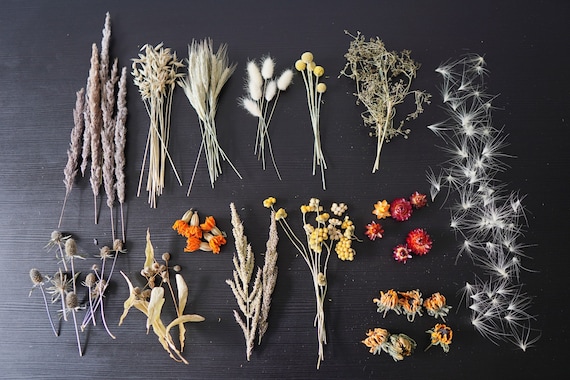 Organic Flower Craft Pack Botanical Box Dried Flowers | Etsy
