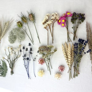 Dry Flower Craft Box, Dried Grasses and Flowers Box, Preserved Organic ...