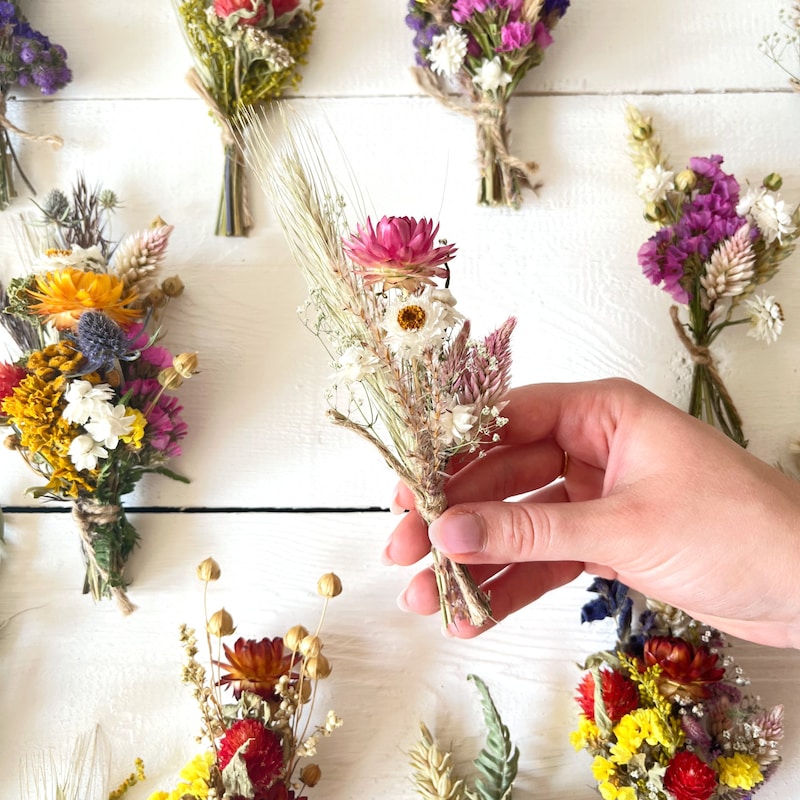 Mini Dried Flowers - Etsy