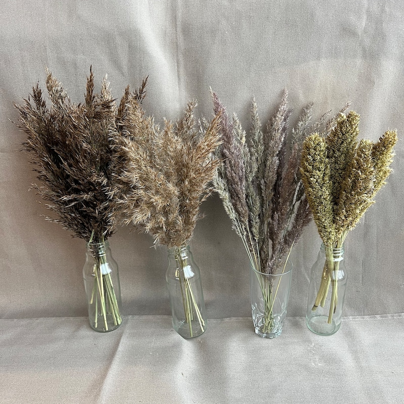 Dried Grass - Etsy