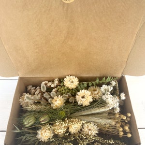 Natural Dried Flowers Mix Craft Boxes, Preserved Dry Botanical Supplies ...