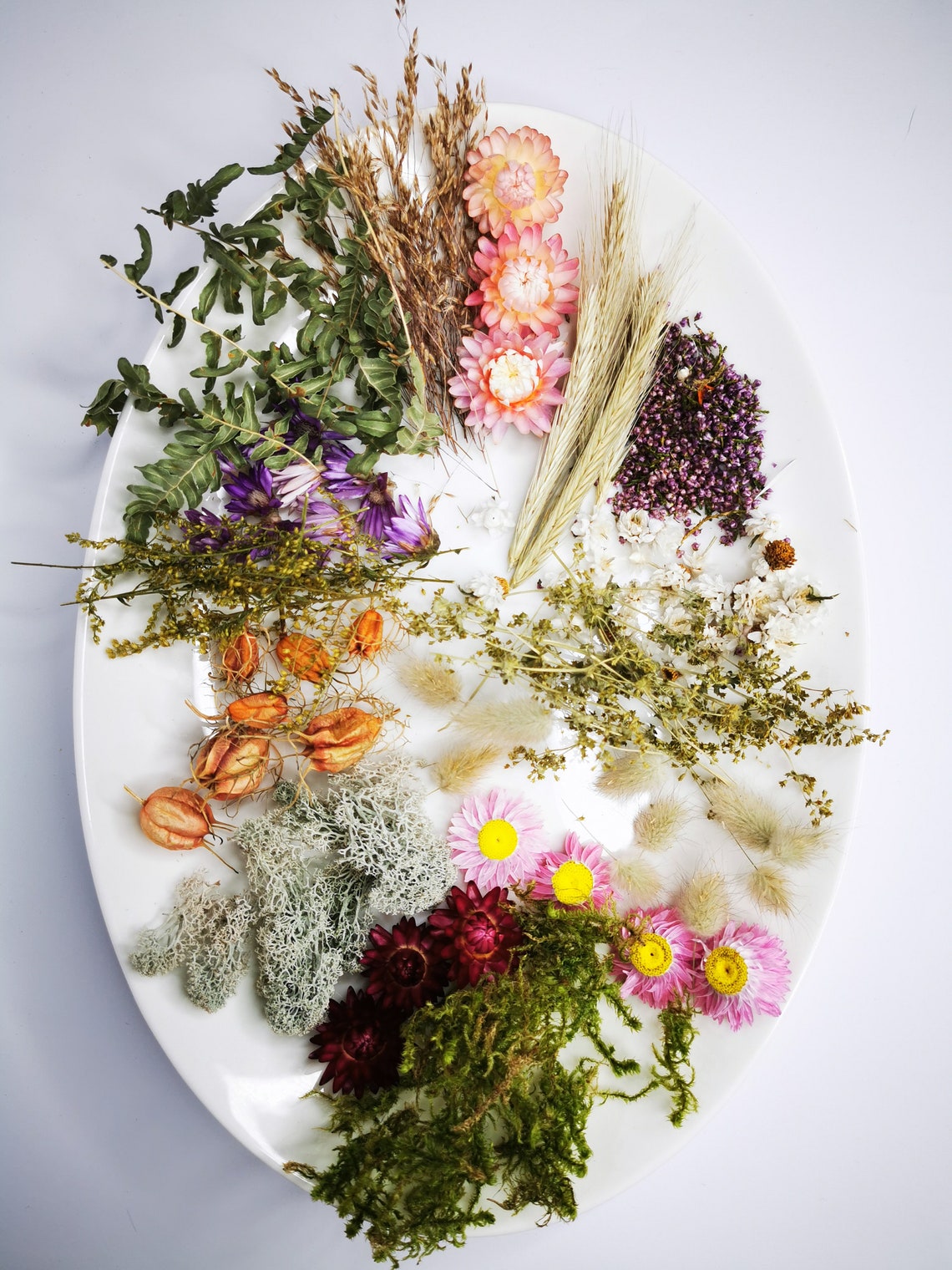 Botanical dry flower craft pack / Grass set for candles resin | Etsy