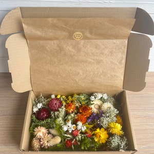 Dried Flower Mix Craft Boxes, Dried Grasses Crafting, Preserved ...