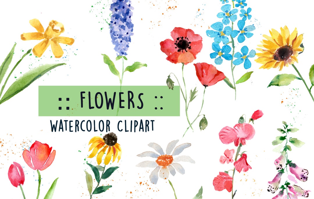 Watercolor Flowers Clipart Hand Painted Digital Download Graphics - Etsy