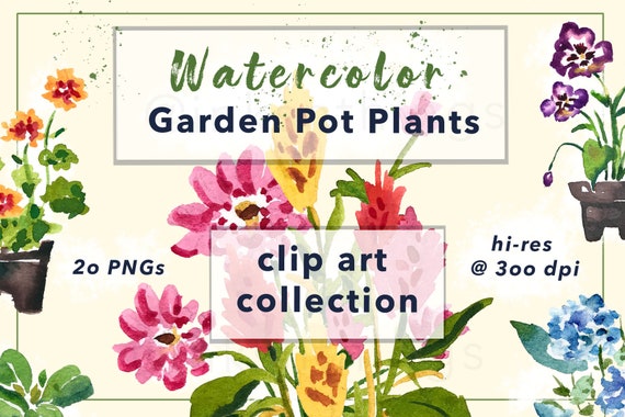 Watercolor Garden Pot Plants Clipart Hand Painted Instant - Etsy