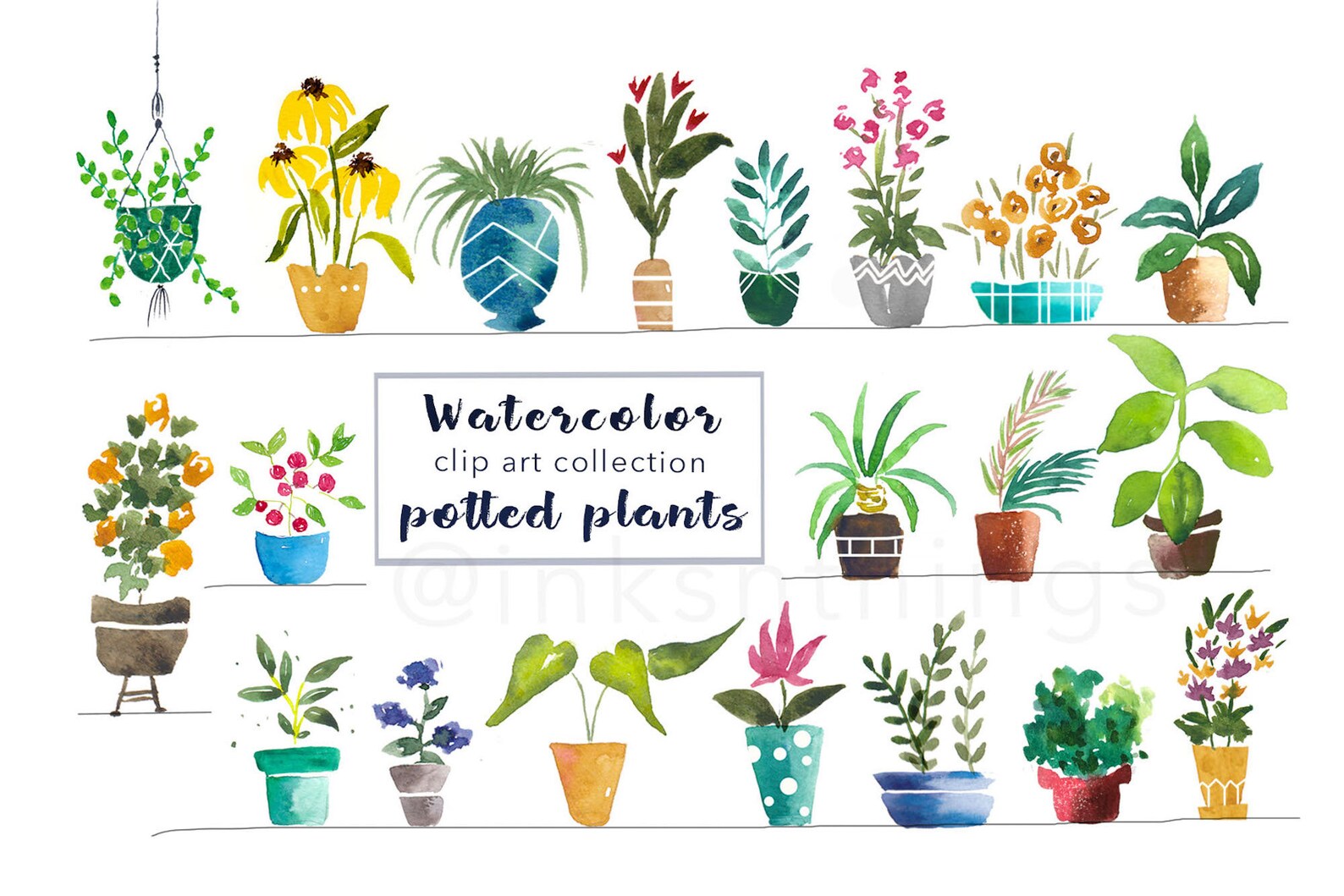 Watercolor Potted Plants Clipart - Hand Painted - Digital Download ...