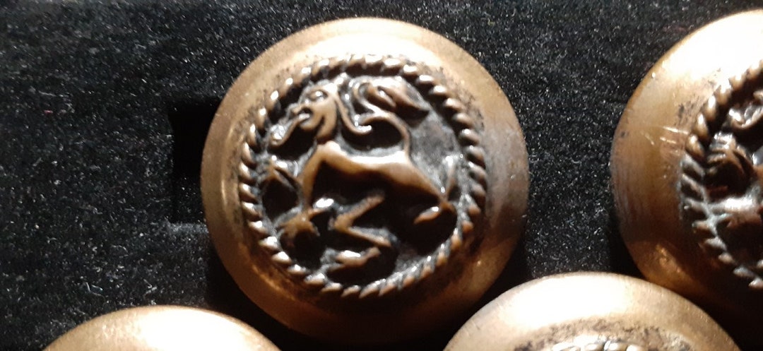 Vintage Metal Dragon Buttons Set of 4. Larp. Cosplay - Etsy
